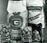 Company History | Branston