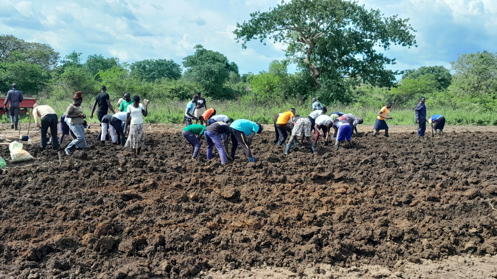 Alito Project April 2024 | Branston