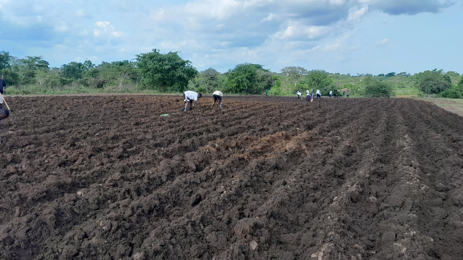 Alito Project April 2024 | Branston