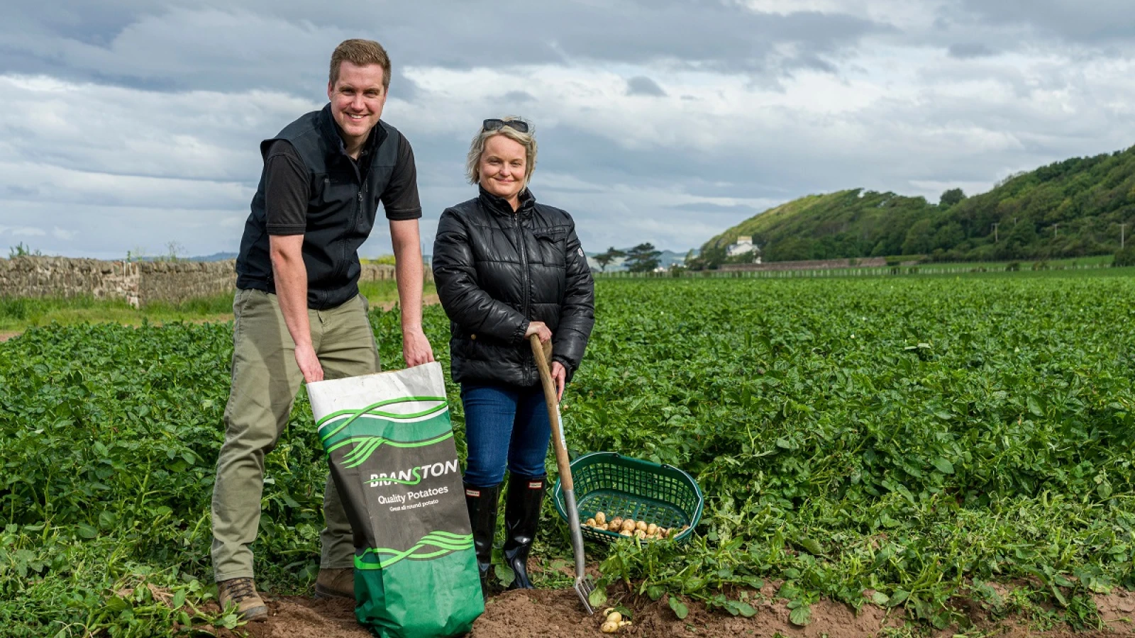 Ayrshire New potatoes | Branston