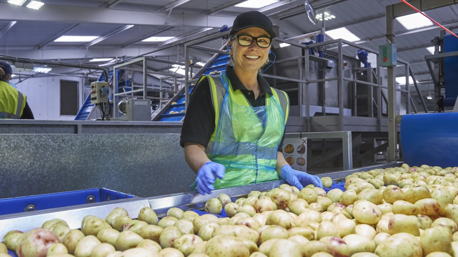 Fresh Potatoes | Branston