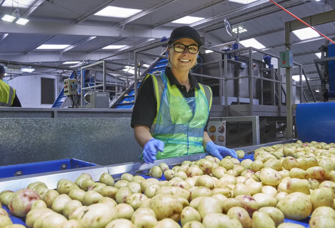 What We Do | Branston