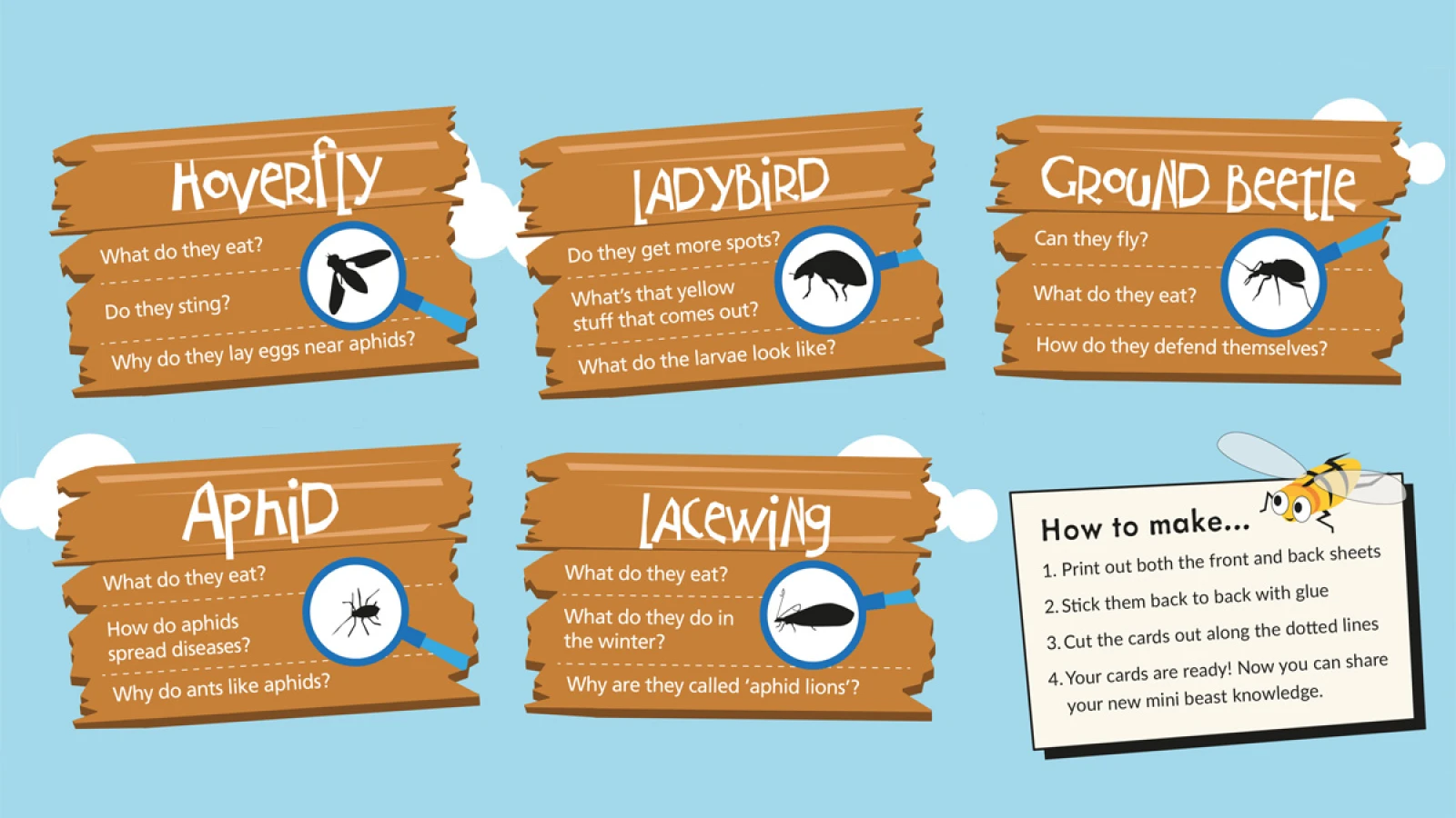 Mini beast fact cards | Branston